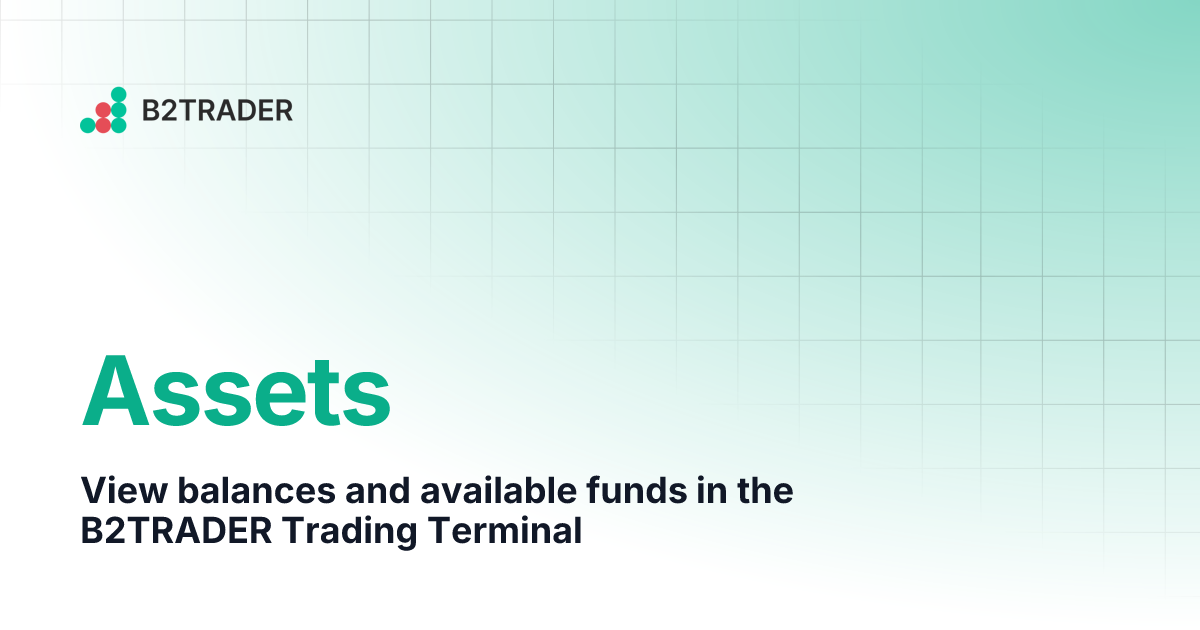 Assets | B2TRADER docs